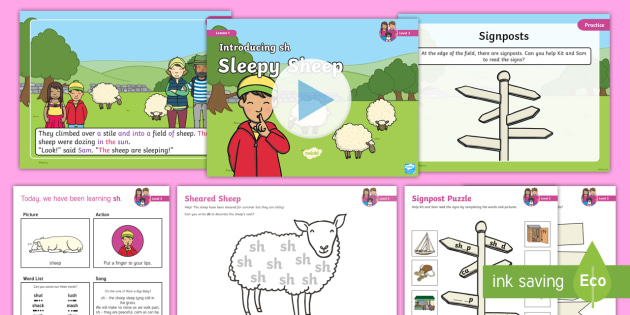 'sh' phoneme Lesson Plan - Level/ Phase 3 Wk3L1 - Twinkl Phonics