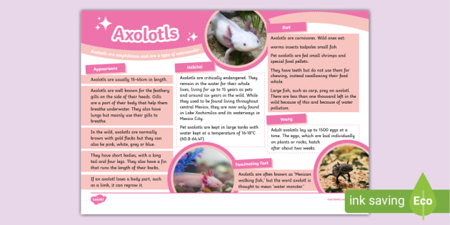 Axolotl Facts For Kids Axolotls Information Animal