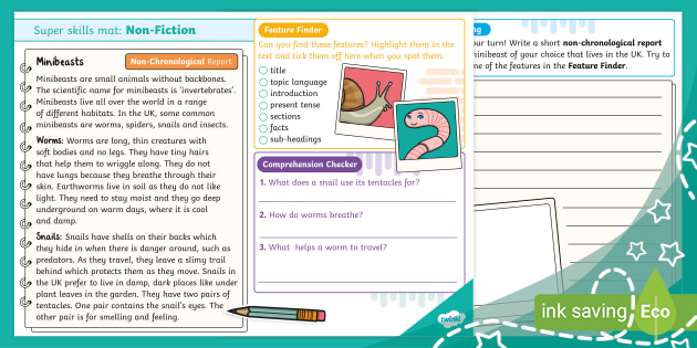 Super Skills Mat: Non-Chronological Reports: Minibeasts (Ages 5 - 7)