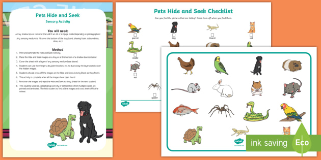 Pets 'Hide and Seek' Sensory Activity (teacher made)