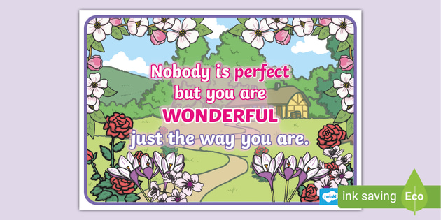 Nobody is Perfect Display Poster (teacher made)