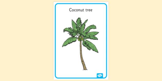 FREE! - Coconut Tree Poster | Display Posters | Primary Resources