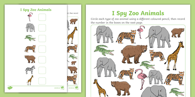 Zoo Animals Activities | twinkl.co.uk