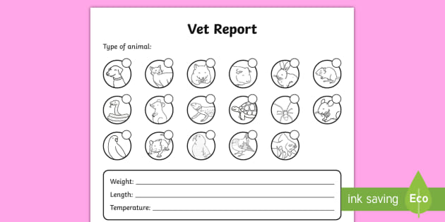 The Vets Aistear Vet Report Role-Play Poster (teacher made)