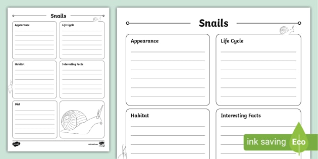 Snails Fact File Template (teacher made)