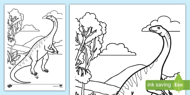 FREE! - Ammosaurus Dinosaur Colouring Sheet - Colouring | Twinkl