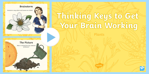 Plant Sciences | twinkl.co.uk