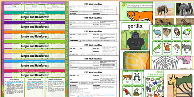 EYFS Jungle and Rainforest Themed Lesson Plan Enhancement Ideas and ...