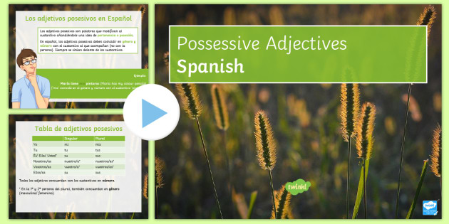 Possessive Adjectives PowerPoint - Spanish (teacher made)