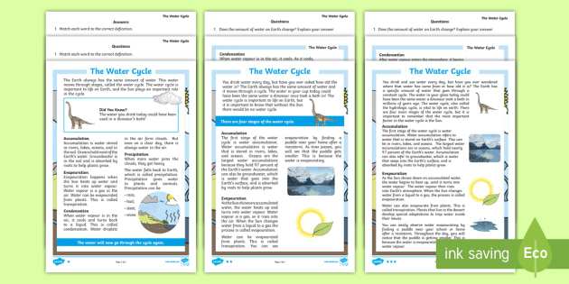 * NEW * The Water Cycle Differentiated Reading Comprehension