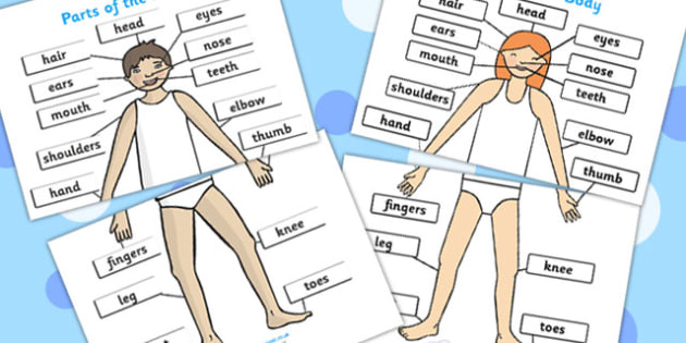 Parts Of The Body A3 (teacher made)