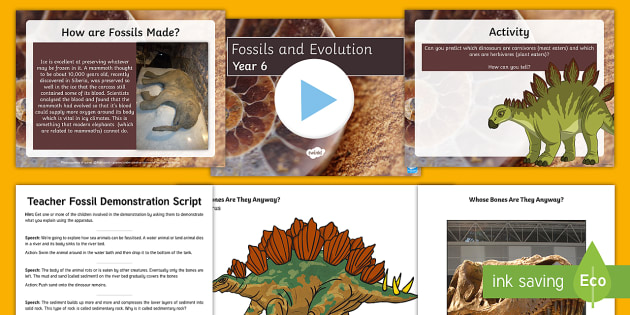 Fossils and Evolution Year Task Setter Powerpoint Activity Pack