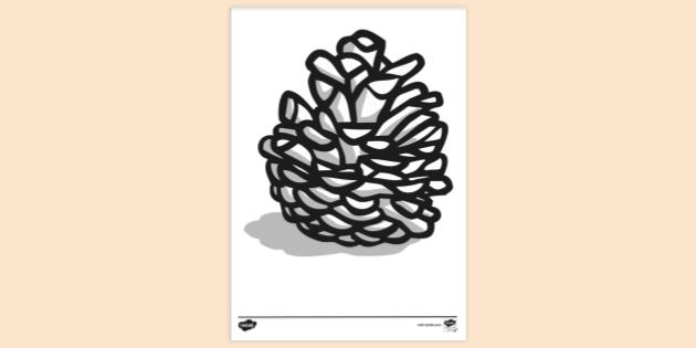 FREE! - Pinecone Colouring | Colouring Sheets (teacher made)