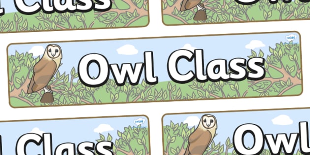 FREE! - Owl Themed Classroom Display Banner (teacher made)