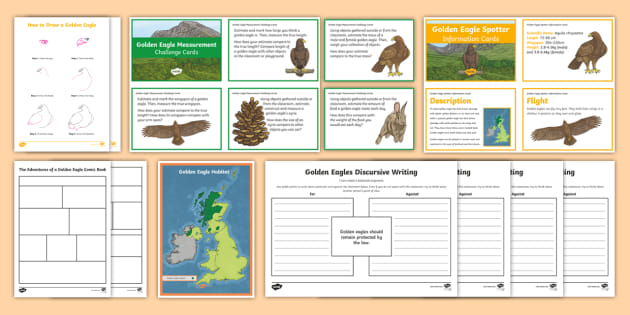 Golden Eagles Activity Pack