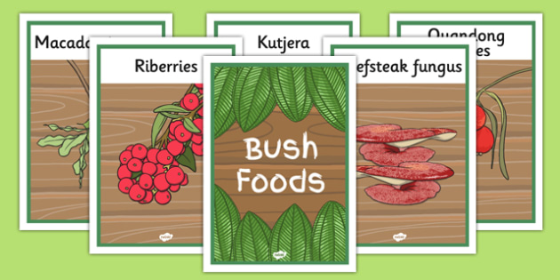 Bush Foods Display Posters (teacher made)