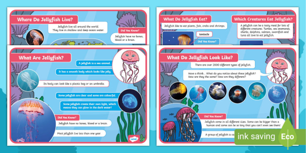 EYFS All About Jellyfish Fact Files (teacher made)
