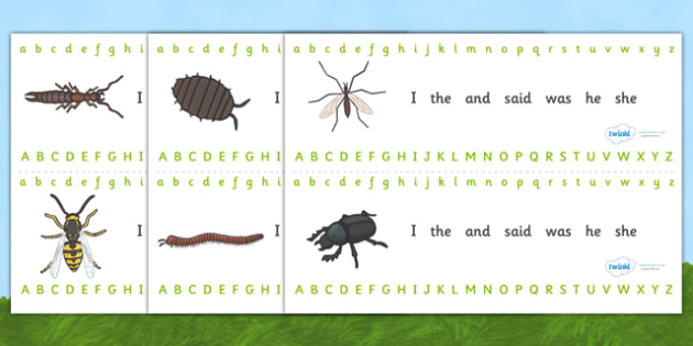 FREE! - Minibeasts Alphabet Strips (Detailed Version)