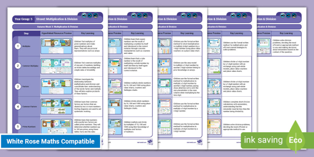 Year 5 Multiplication Mastery | twinkl.co.uk