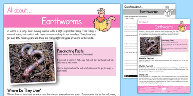 Earthworm Reading Comprehension - earthworm, reading, comprehension