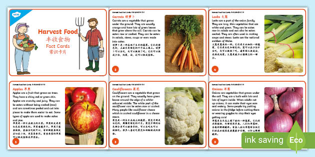 KS1 Harvest Food Fact Cards - English/Mandarin Chinese