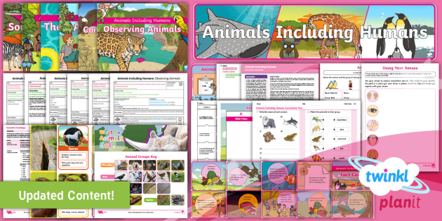 Animals Including Humans Year 1 - Displays and Unit Pack