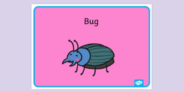 FREE! - Fun Illustrated Bug Poster | Twinkl Primary Resources