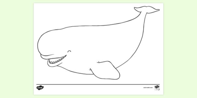 Humpback Whale Coloring And Activity Pages