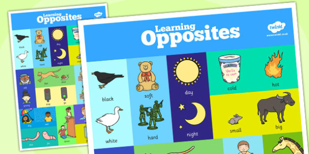 Opposites Poster | Vocabulary - Primary