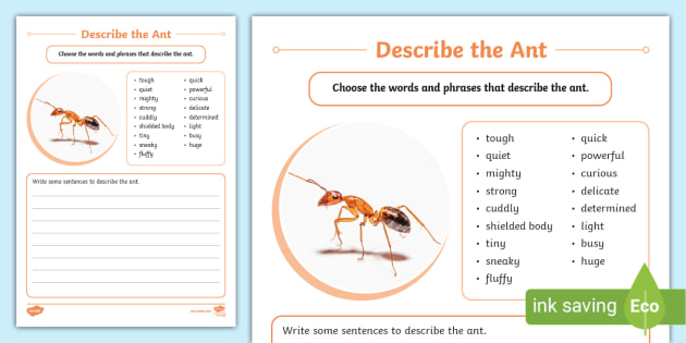 * NEW * Describe the Ant Writing Activity (teacher made)