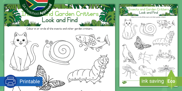 Insects and Garden Critters Look and Find Activity