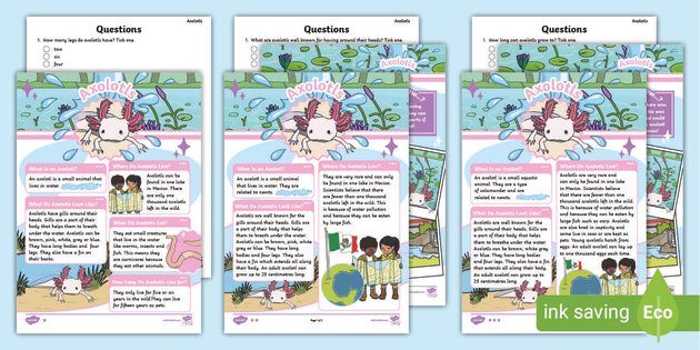 KS1 Axolotls Differentiated Reading Comprehension Activity