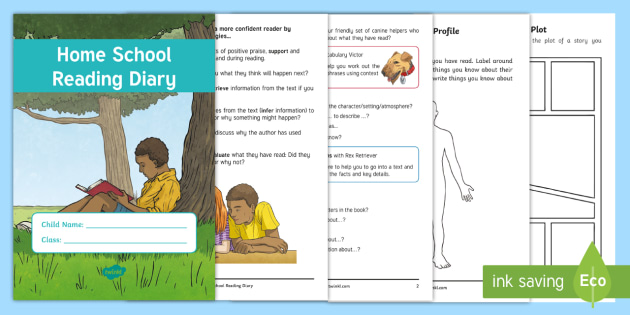 Y5/Y6 Home School Reading Diary KS2 (teacher made)