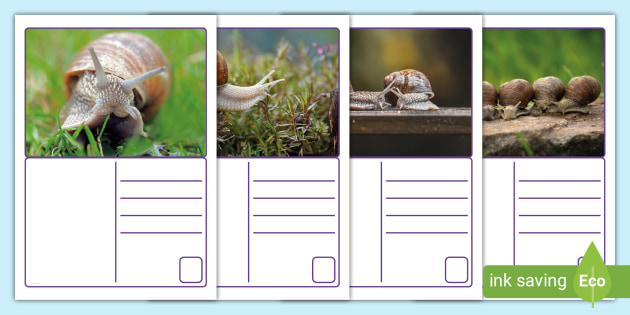 FREE! - Snail Postcards (teacher made)