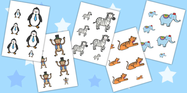 Animal Size Ordering (teacher made)