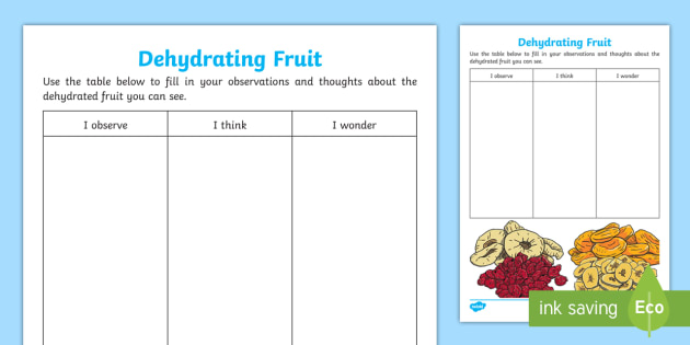 Dehydrating Fruit Wondering Activity (teacher made)