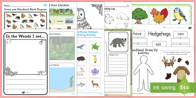 Top Ten Forest and Woodland Activity Pack (teacher made)