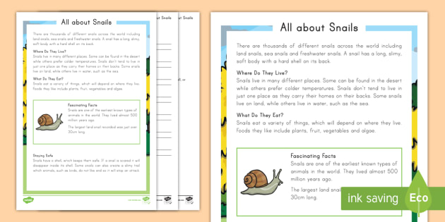 All about Snails Fact File - Snails, reading comprehensions, nonfiction