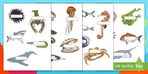 FREE! - Editable Self-Registration Labels (Under the Sea)