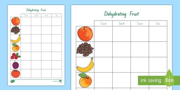 Dehydrated Fruit Observation Activity (Teacher-Made)