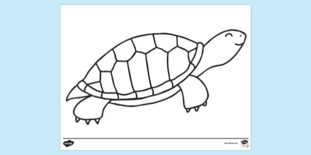 FREE! - Colouring Page for Children Turtle | Colouring Sheets