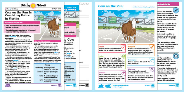 Strange But True News Stories | NewsRoom Resources