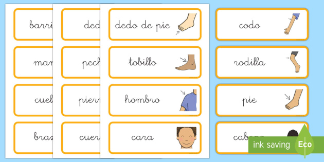 Tarjetas de vocabulario: El Cuerpo y la salud (teacher made)