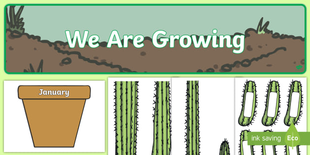 Cactus Birthday Display Posters