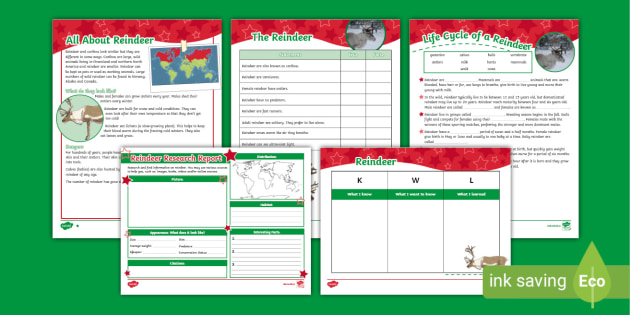 Ready-to-use Christmas Reindeer Activity Pack (teacher made)