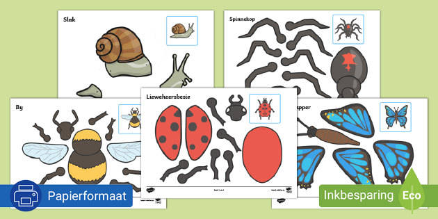 Insekte en Klein Gediertes: Gesplete Pennetjie Aktiwiteit