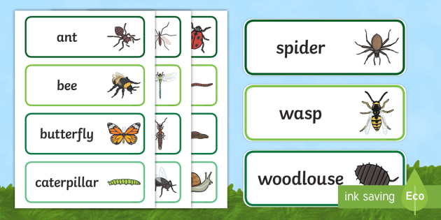 Minibeast Themed Word Cards - Minibeast Themed Labels