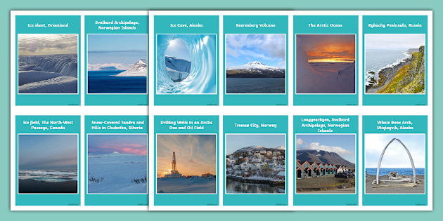 Arctic Regions | twinkl.co.uk