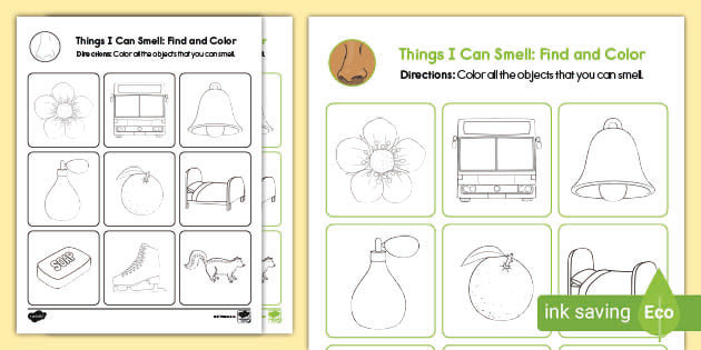 Things I Can Smell: Find and Color Activity (teacher made)