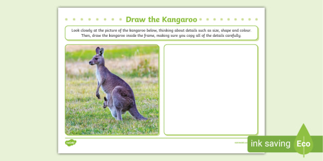 Draw the Kangaroo Activity, Kangaroo (teacher made)